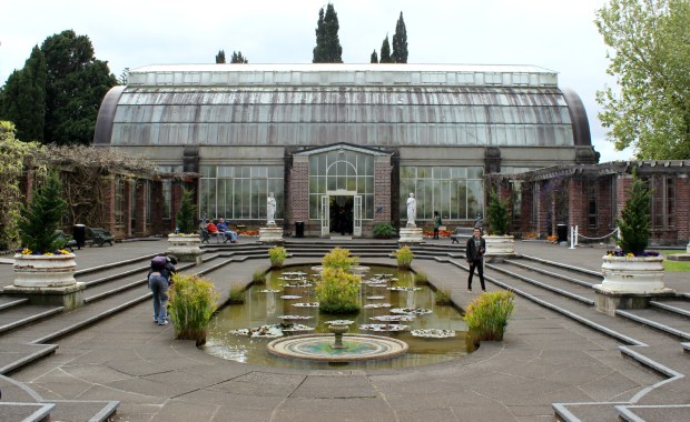 Auckland Domain – A Style Collector