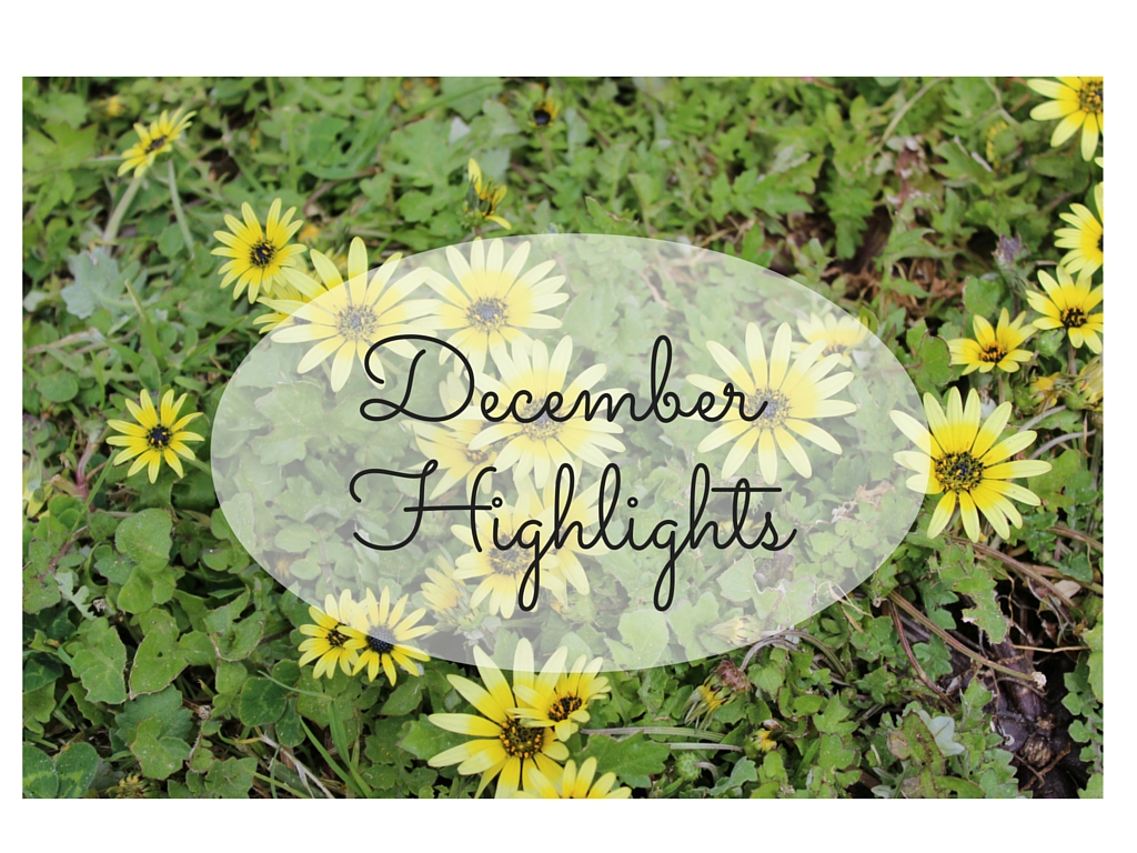 December Highlights – A Style Collector