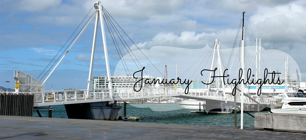 January Highlights – A Style Collector