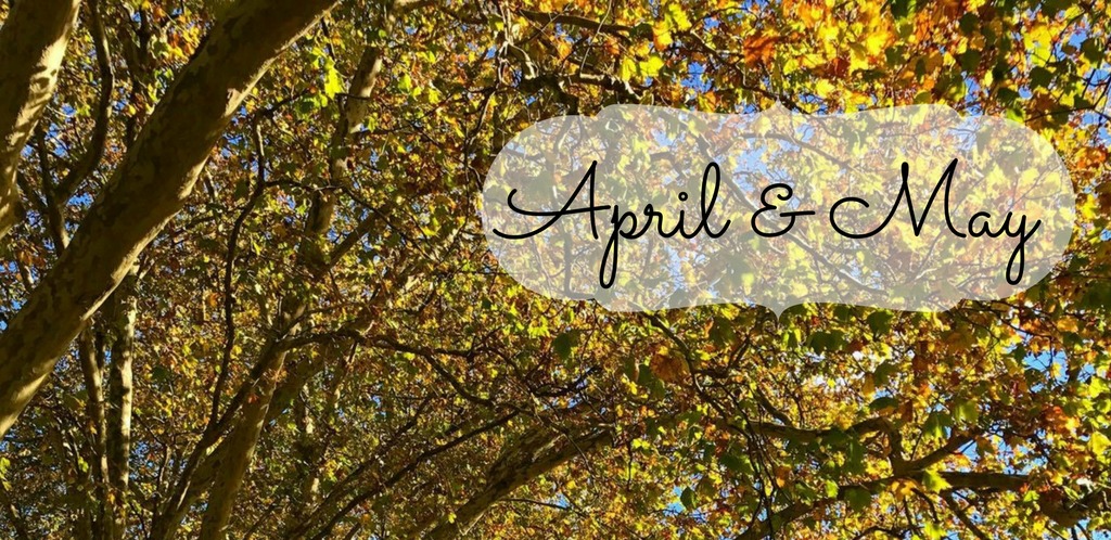 April – May Highlights – A Style Collector
